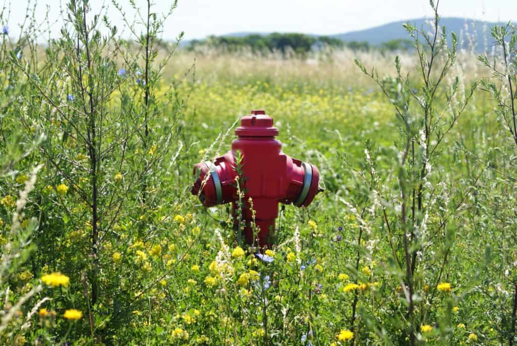 The History of the Fire Hydrant - Inspect Point