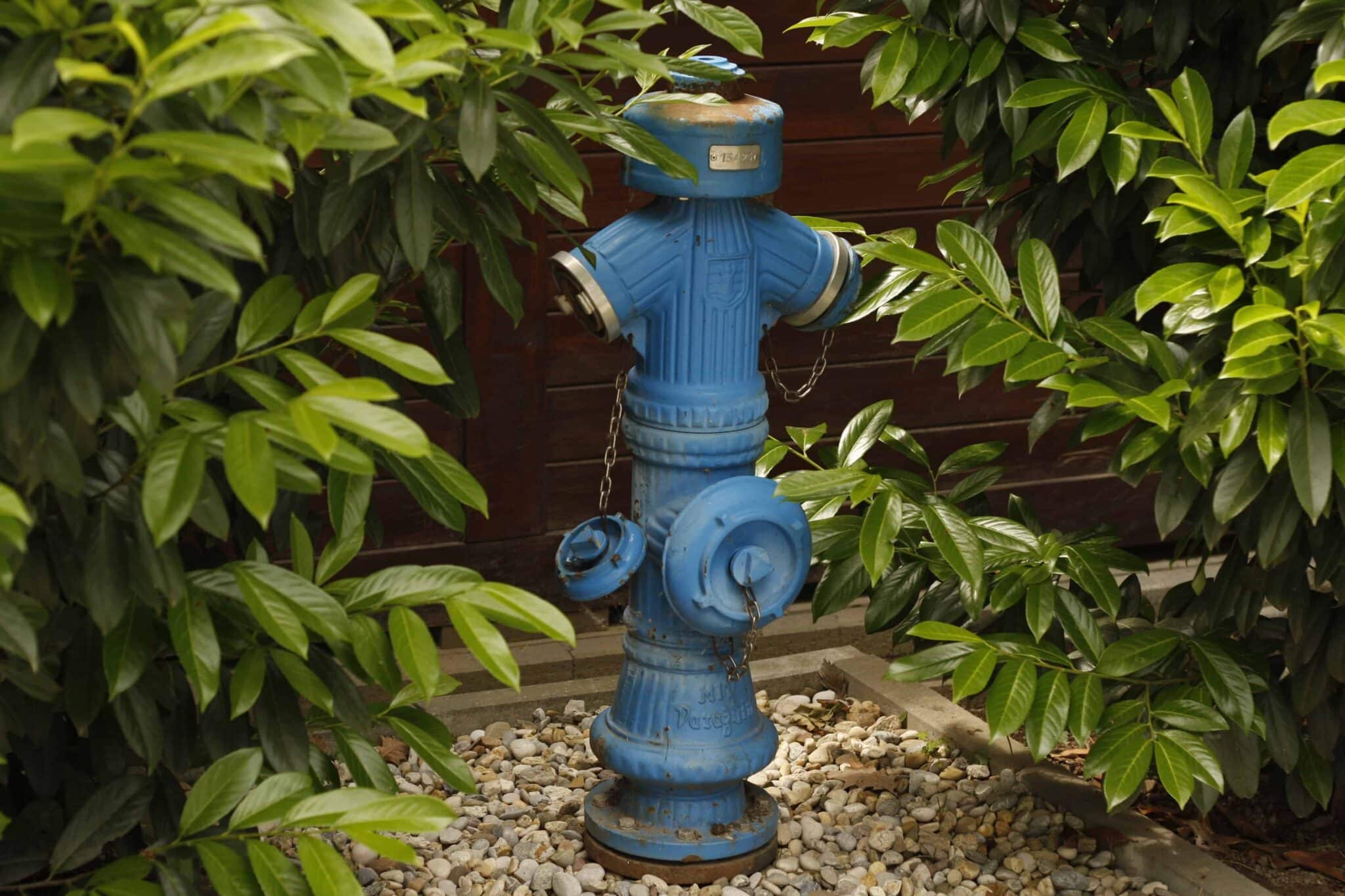 The History of the Fire Hydrant - Inspect Point
